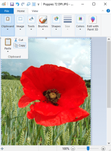 How to convert an image to 300 DPI for printing (using Microsoft Paint ...