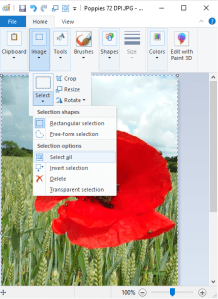 How to convert an image to 300 DPI for printing (using Microsoft Paint ...